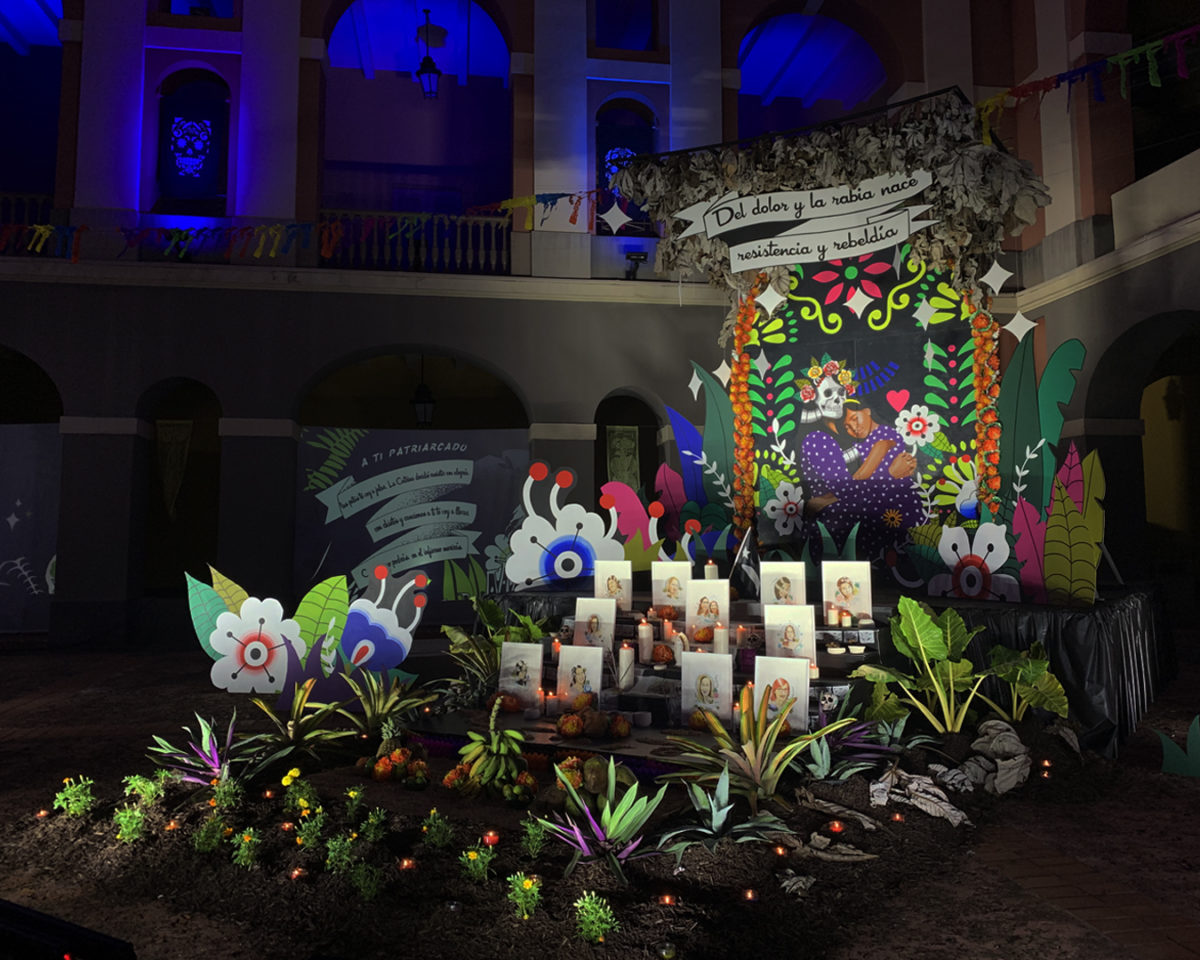 Ilustradora Elizabeth Barreto visibiliza a las víctimas de feminicidios ...